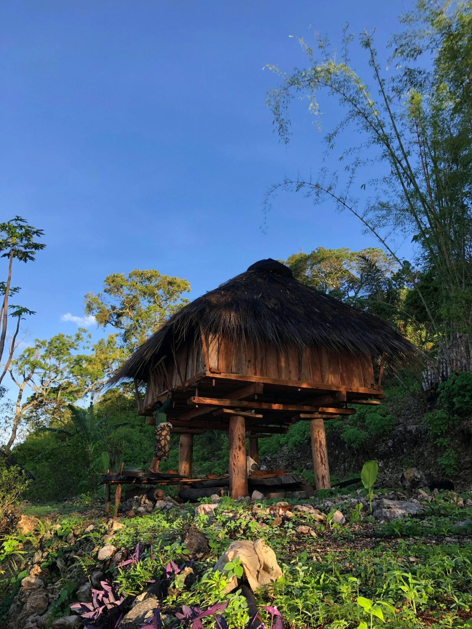 Volomundi: Explore Timor-Leste - Smart Southeast Asian Travel